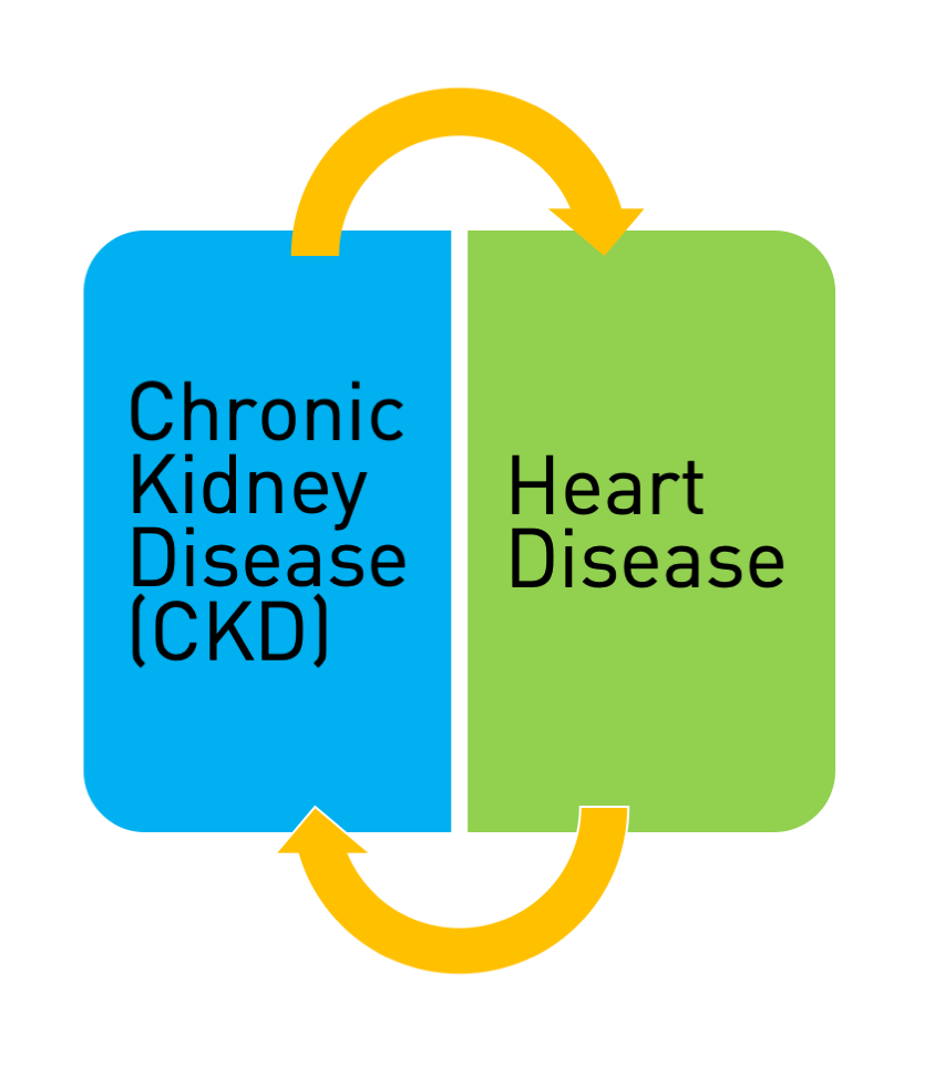 Heart Disease – AAKP