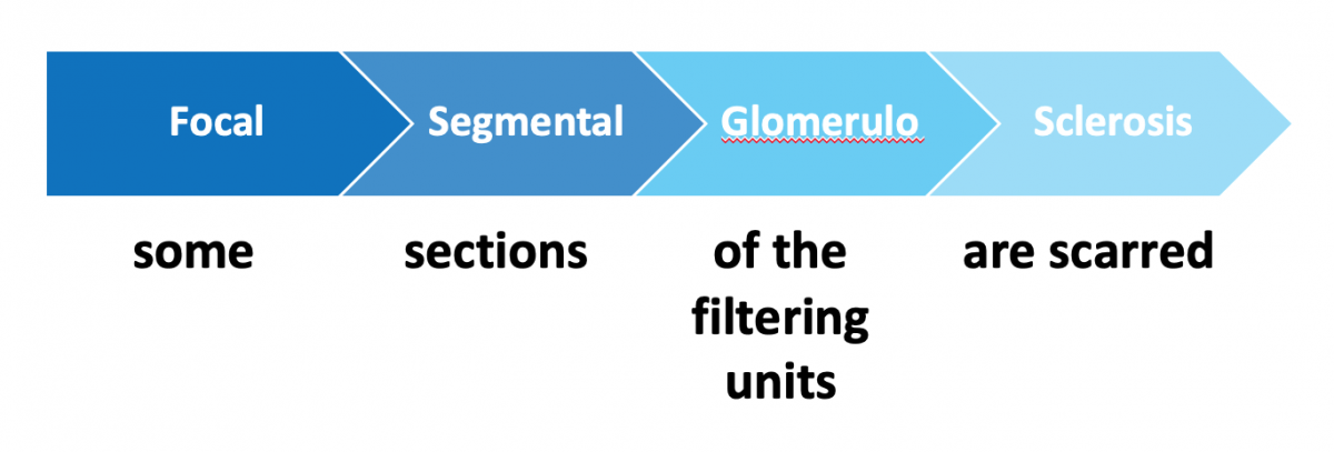 Focal Segmental Glomerulosclerosis (FSGS) – AAKP