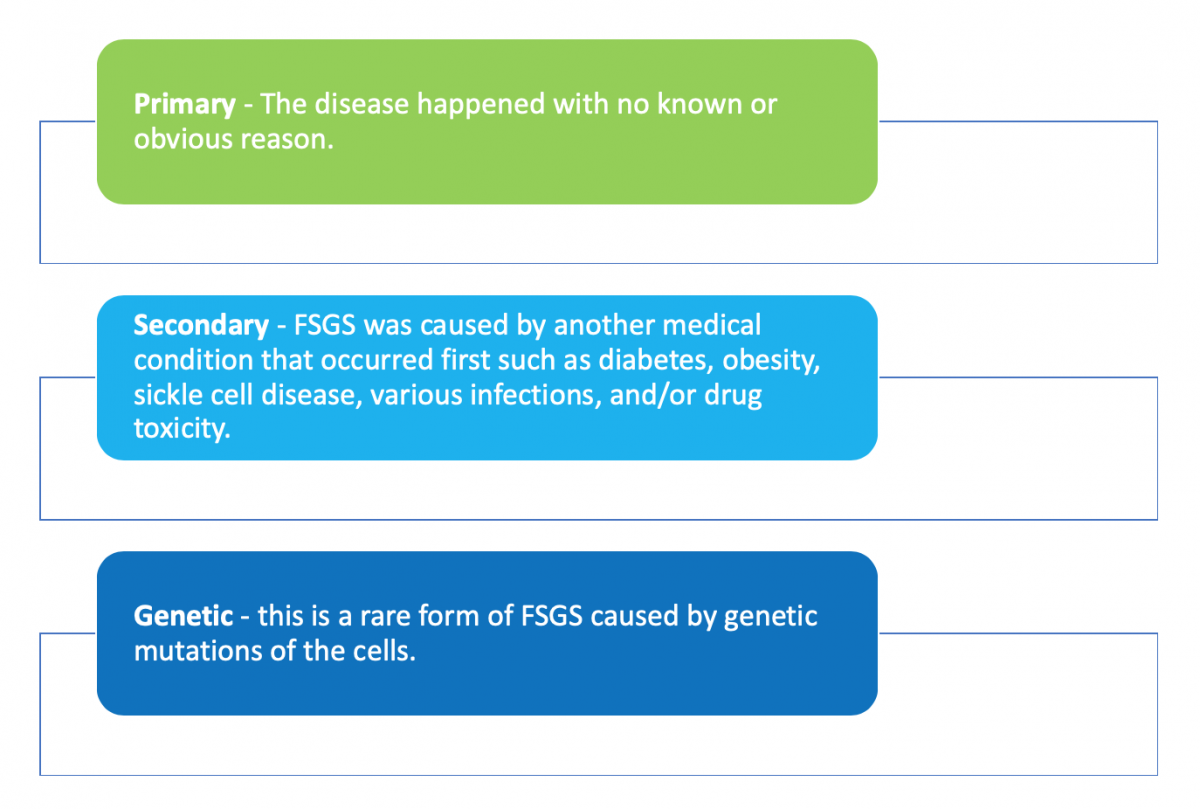 Focal Segmental Glomerulosclerosis (FSGS) – AAKP