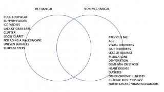 How to Reduce the Risk of Falling – AAKP